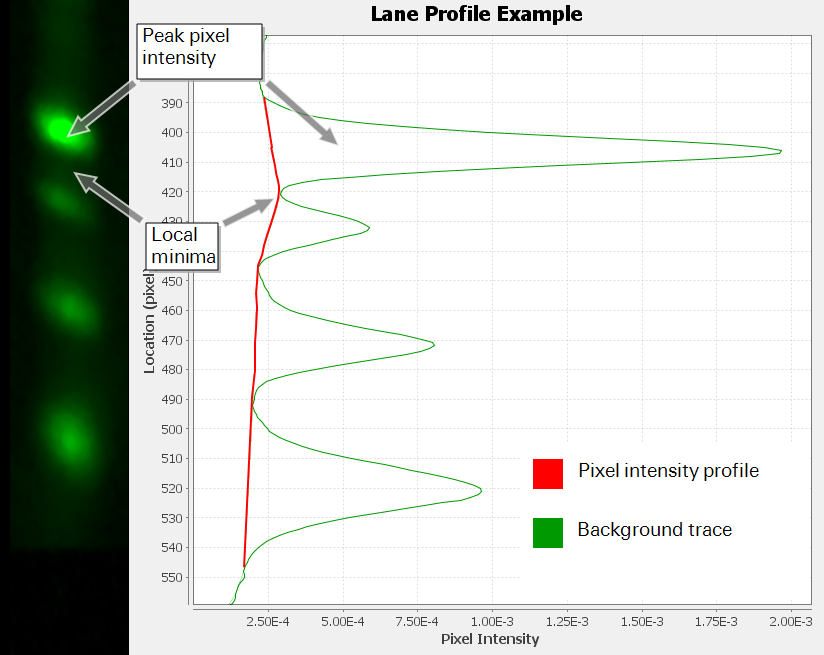 Lane Method vs. Rolling Ball from ImageJ